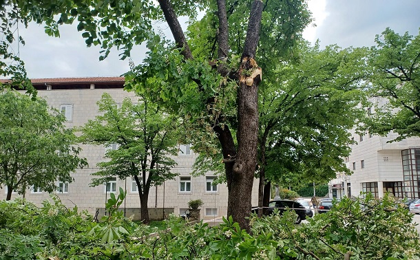 Fra Neven: Ode na počinak naš stari ‘Marun’ - FERATA