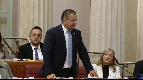 Brčić i Erlić o razvoju Dalmatinske zagore - FERATA